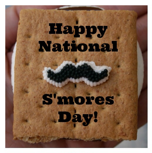 Happy National S'mores Day! - Over The Top Mommy
